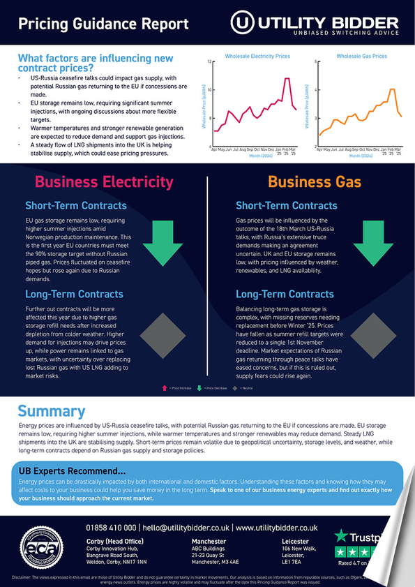 UB's Pricing Guidance Report - Flipbook - Page 1